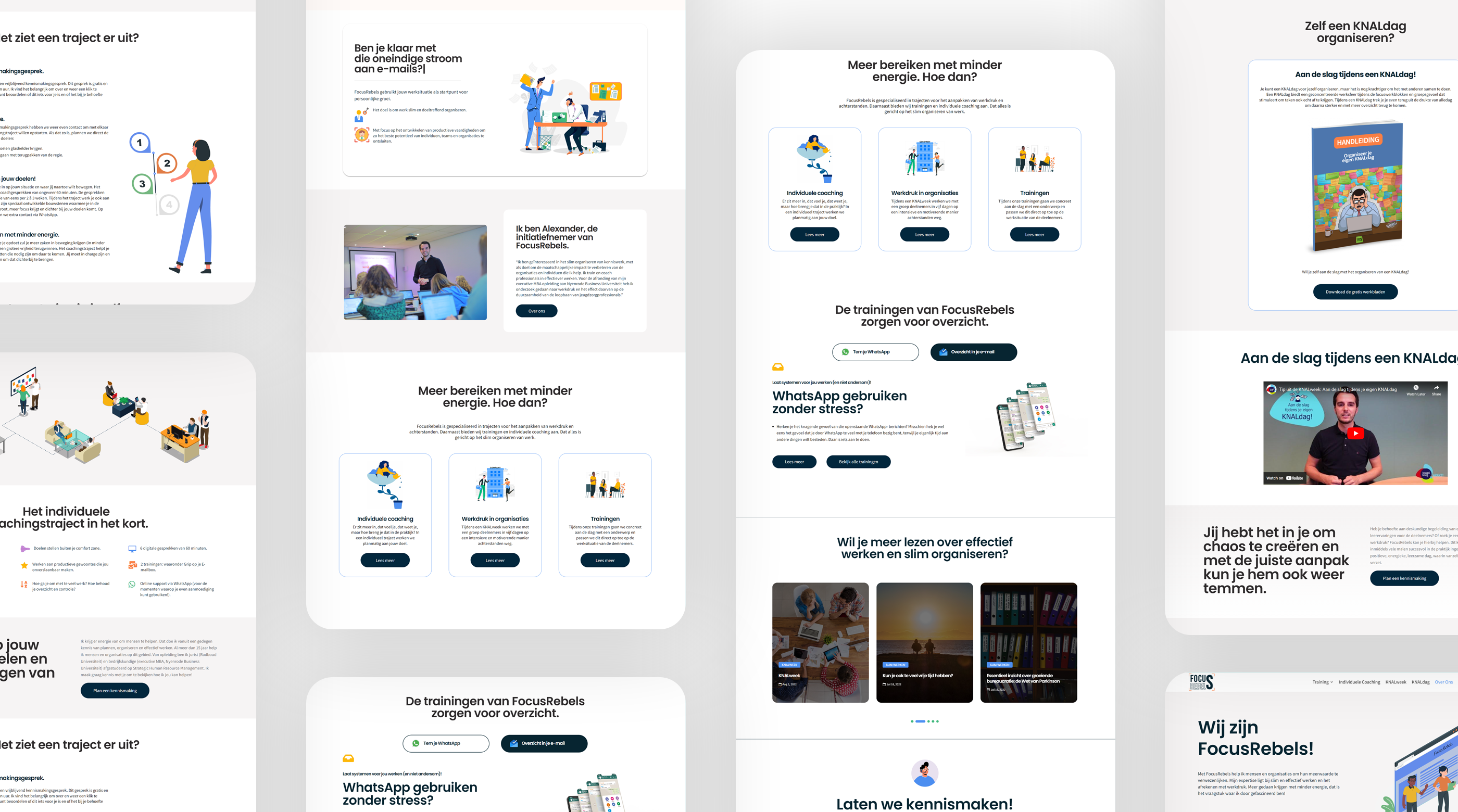 Focus Rebels | Sygnius