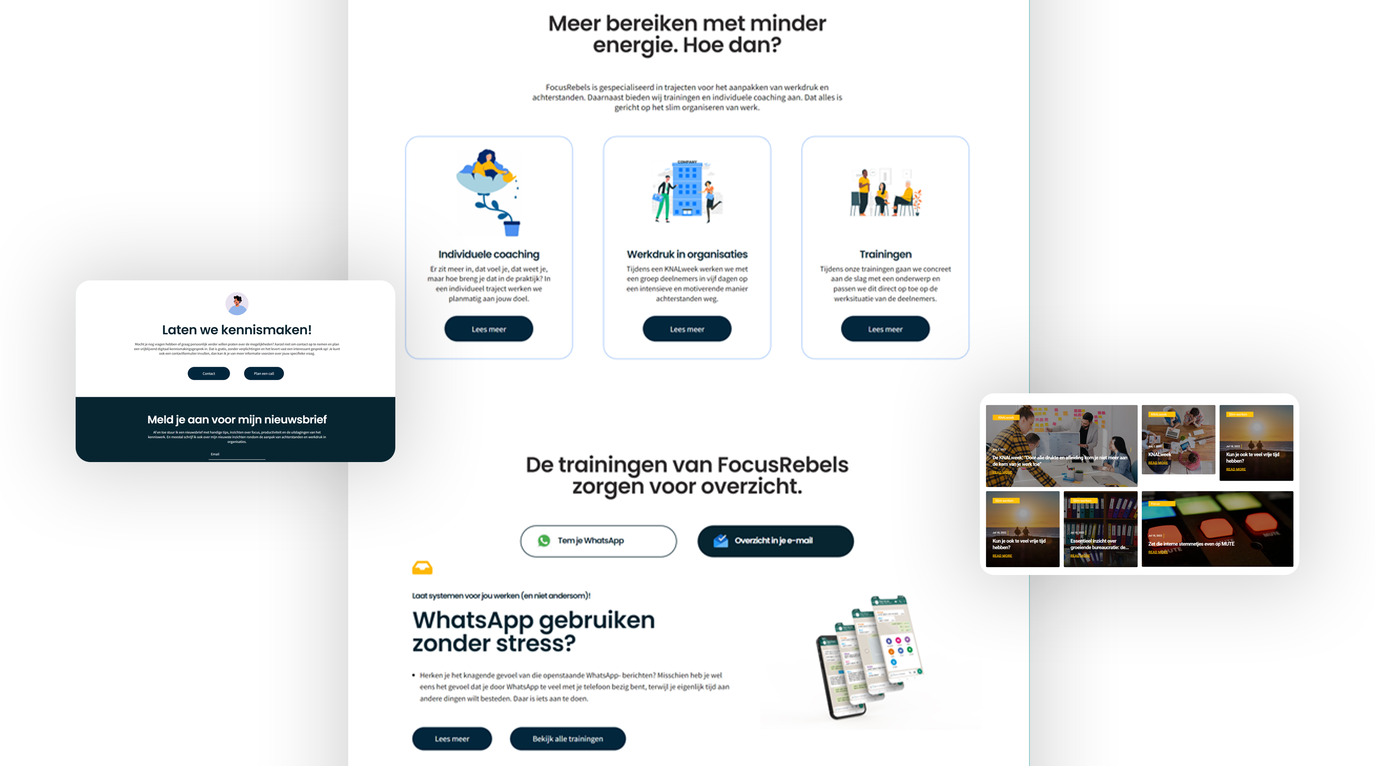 Focus Rebels | Sygnius