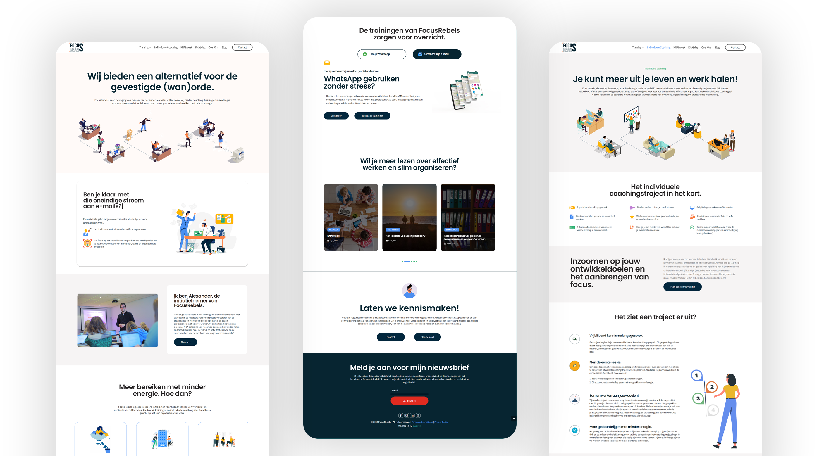 Focus Rebels | Sygnius